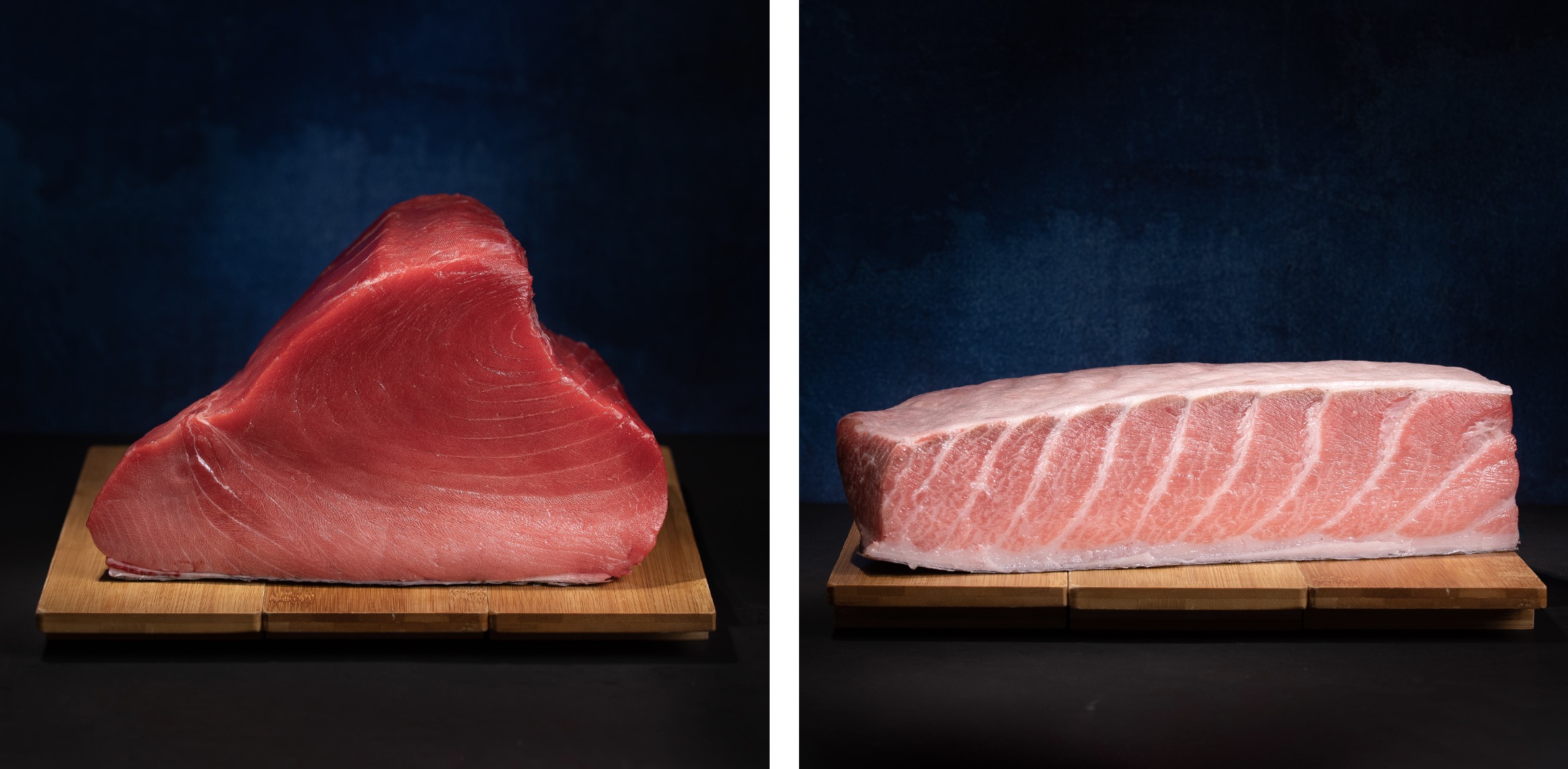 Balfegó Bluefin: de braafste tonijn uit de school | Horeca Magazine